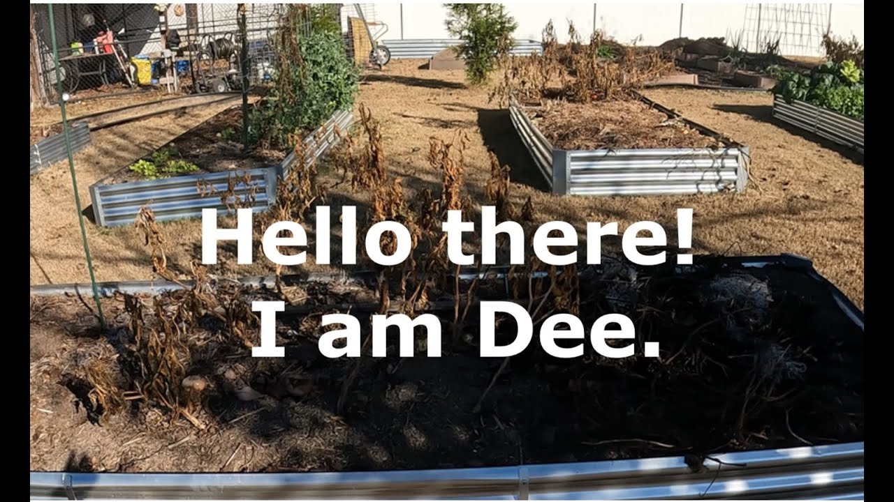 Hi there! I am Dee. An introduction video and a Fall update on my ...
