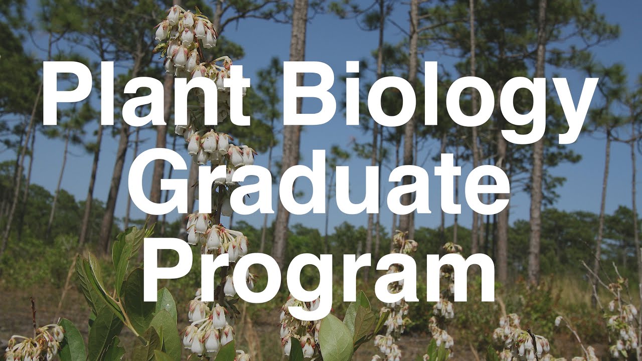 NC State Plant Biology Graduate Program (long version) - YouTube