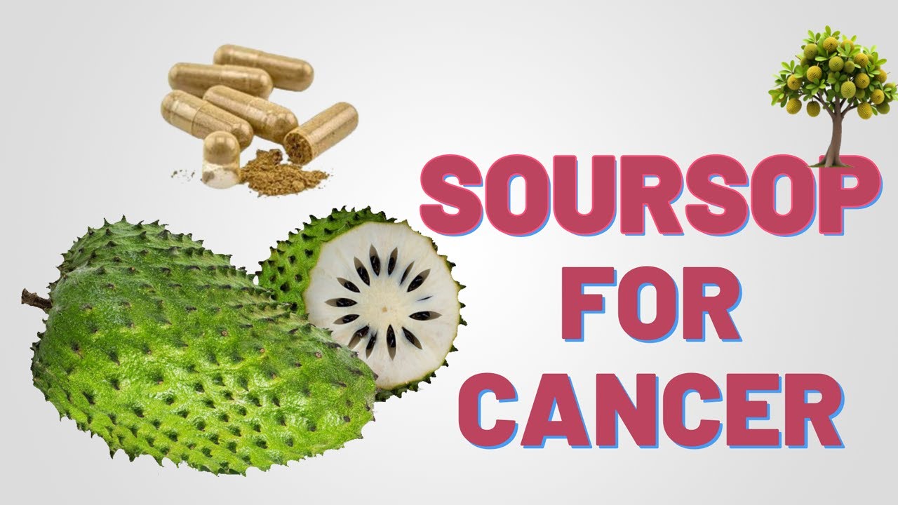 How Soursop Helps To Fight Cancer | Health Benefits And Risks of ...