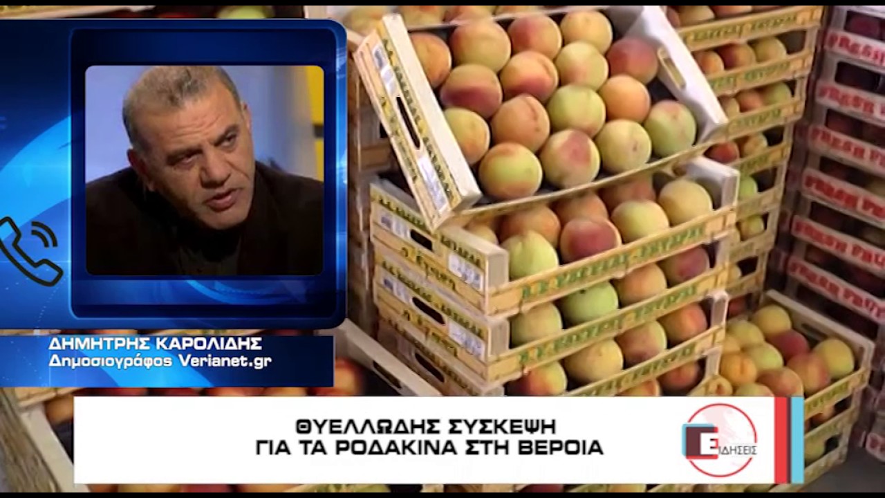 ΘΥΕΛΛΩΔΗΣ ΣΥΣΚΕΨΗ ΓΙΑ ΤΑ ΡΟΔΑΚΙΝΑ ΣΤΗ ΒΕΡΟΙΑ - YouTube