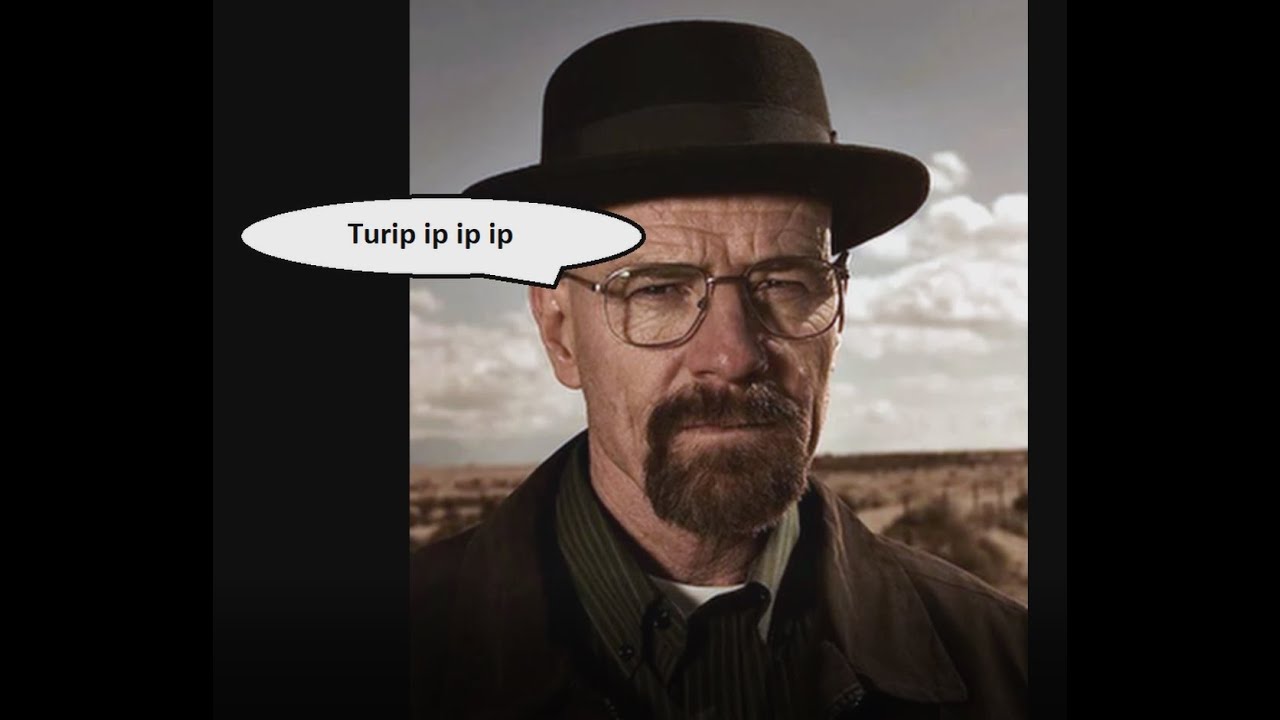 Turip ip ip ip - YouTube