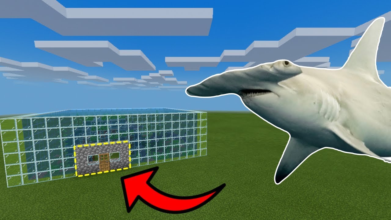 How To LIVE INSIDE a HAMMERHEAD SHARK FARM in Minecraft PE - YouTube