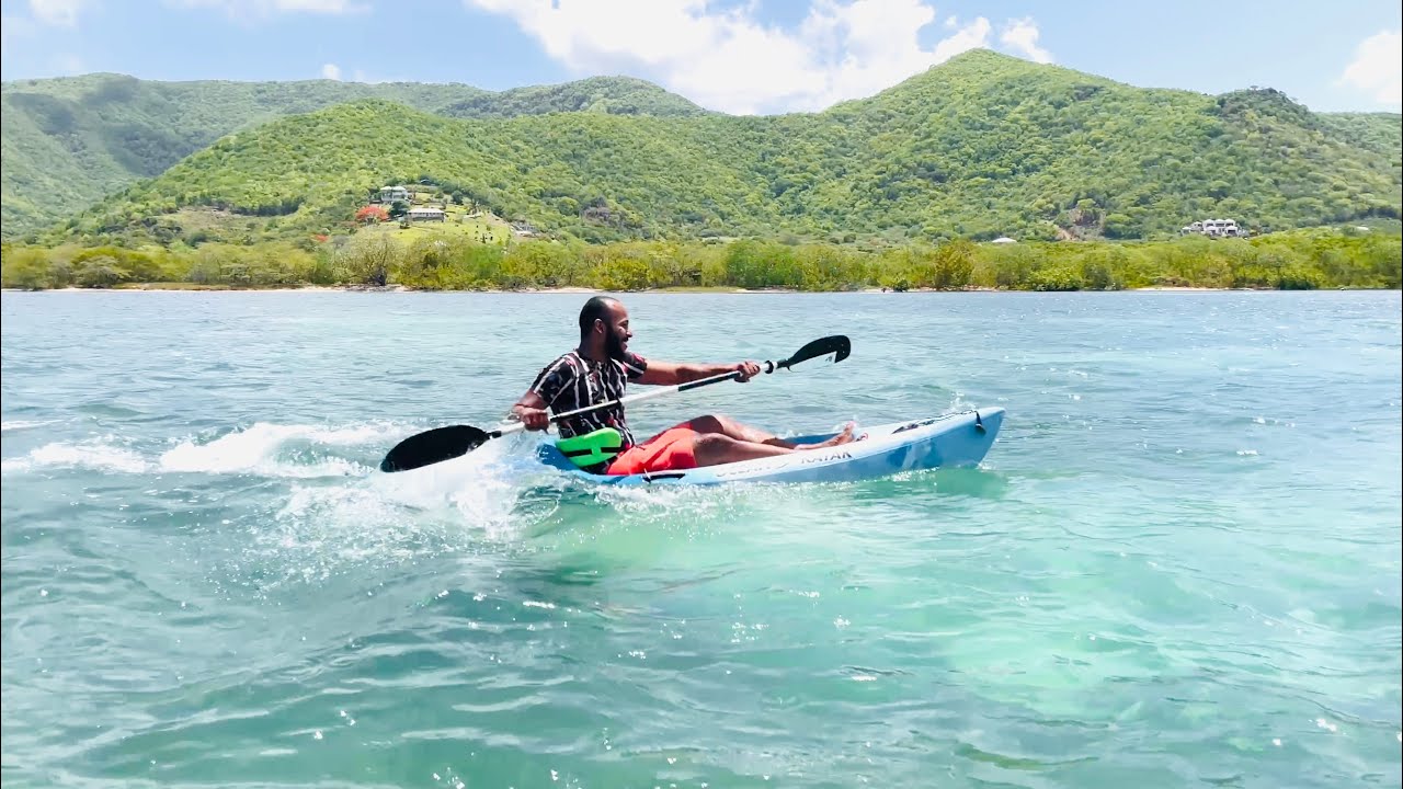 A Day With Ray | Kayak & snorkel in beautiful Caribbean mangroves ...