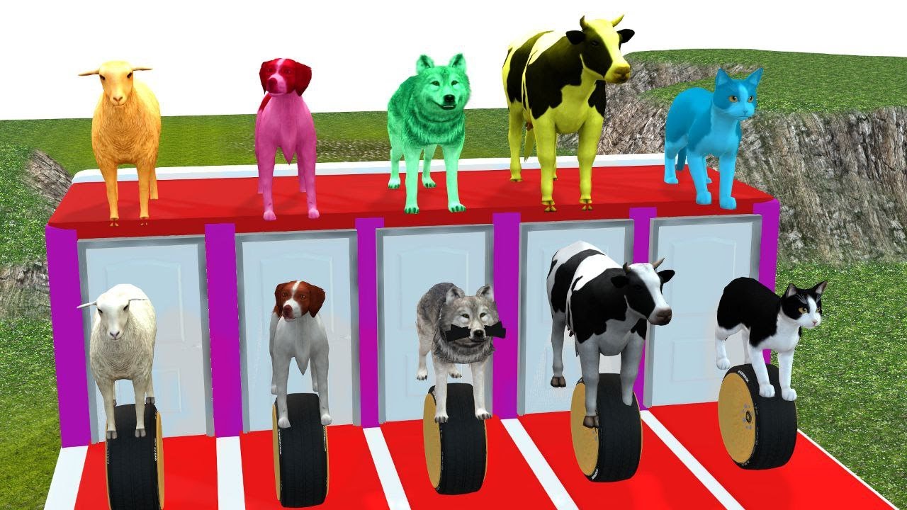 Learn Colors With Animals Sheep Dog Wolf Cow Cat Crossing Animal ...
