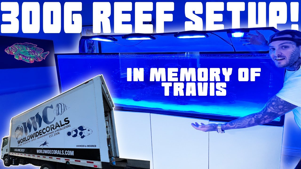 The MOST Important Reef Build of my Life! In remembrance of My Best ...