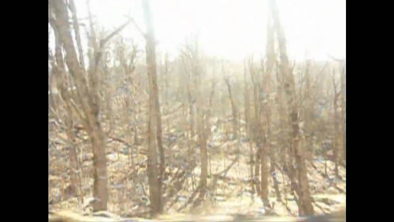 Where They Sleep - YouTube