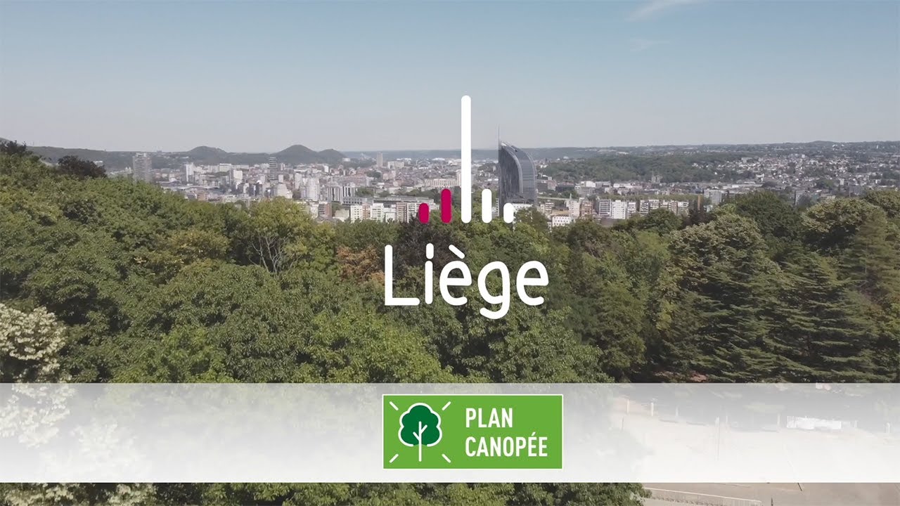 Tout savoir sur le Plan Canopée de la Ville de Liège - YouTube