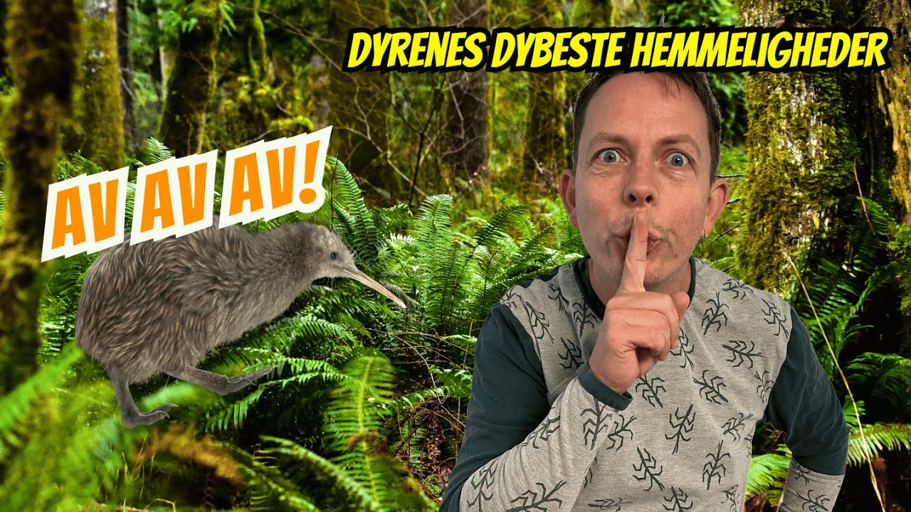 Dyret, der har allermest ondt i numsen! Dyrenes Dybeste Hemmeligheder ...