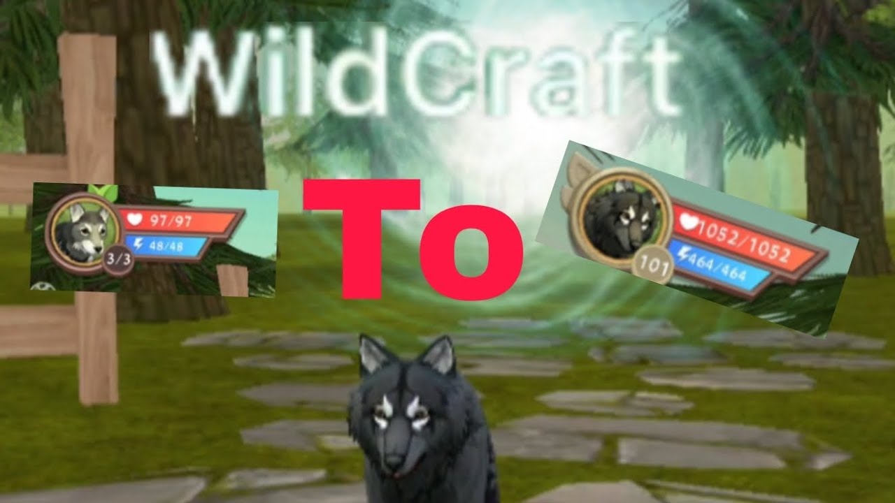 Leveling my wolf 🐺 to Level 1-200!! Part 1 - YouTube