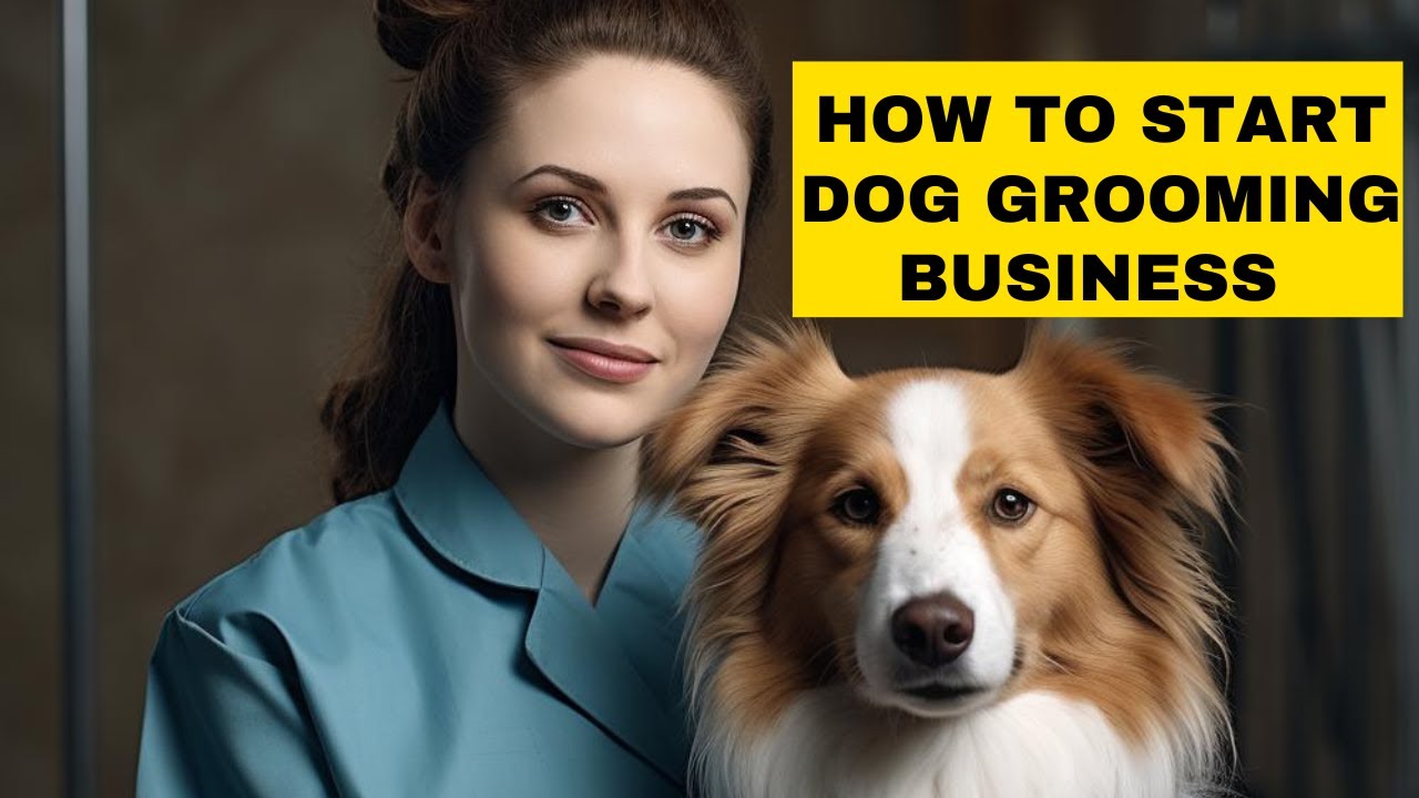 How To Start A Dog GROOMING Business - YouTube