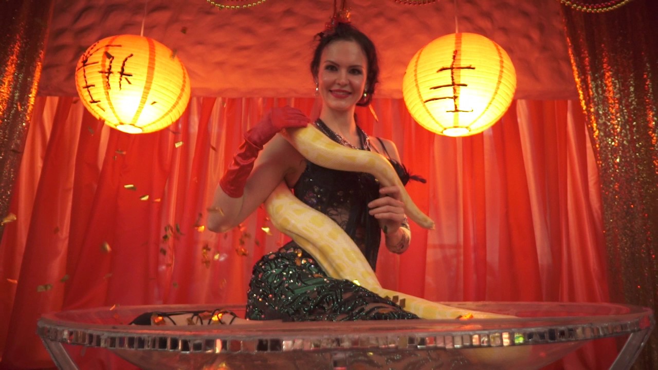 SUPERB! Snakecharmer. Burlesque. Welcome. Martini Glass. Велком с ...