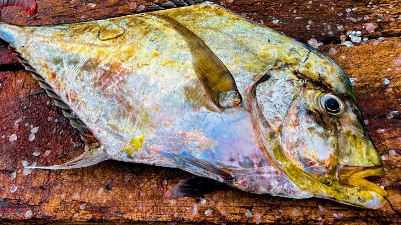 The World!! Never Seen Trevally Fish Cutting Skills Super Fast Village ...