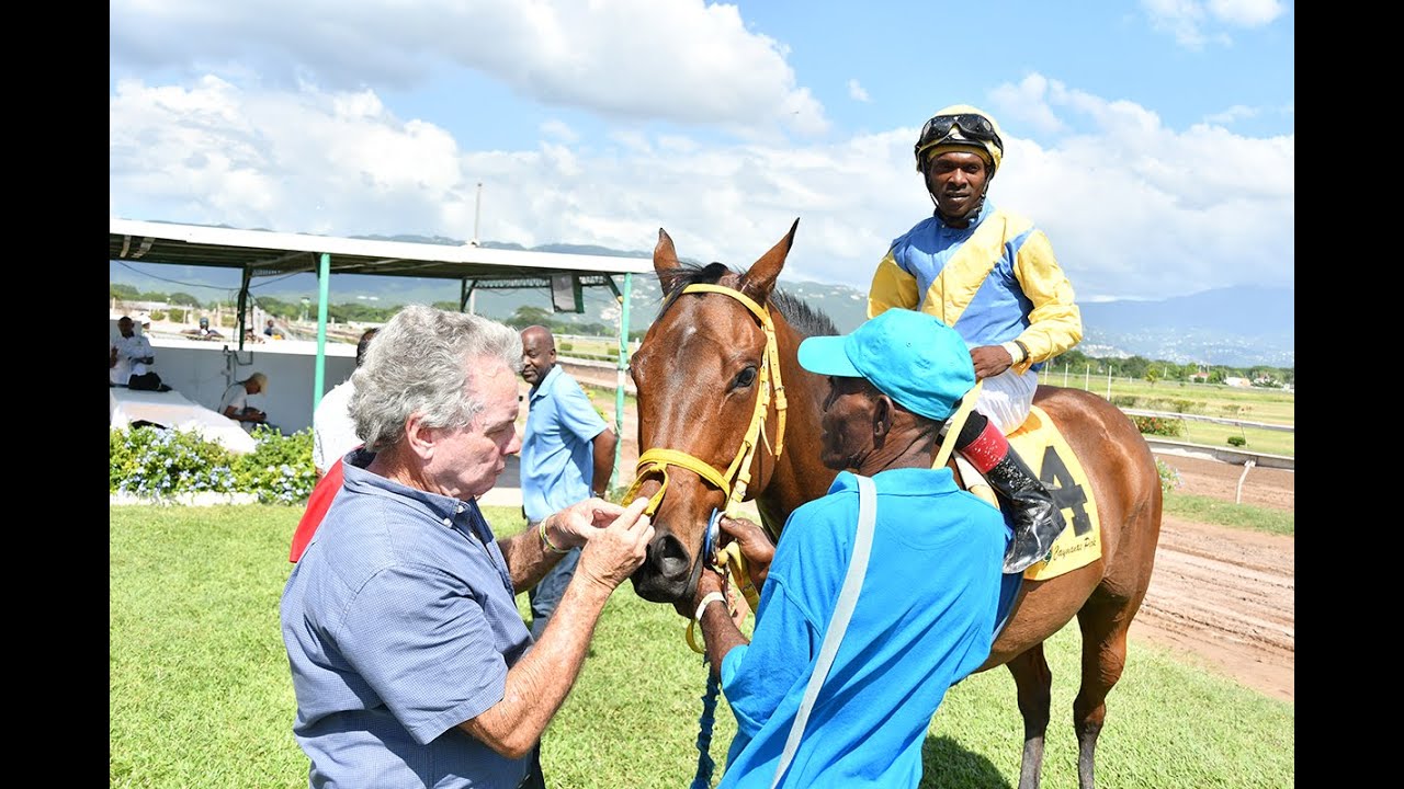 THE LAST LICK STORY AS TOLD BY TRAINER GORDON LEWIS - YouTube