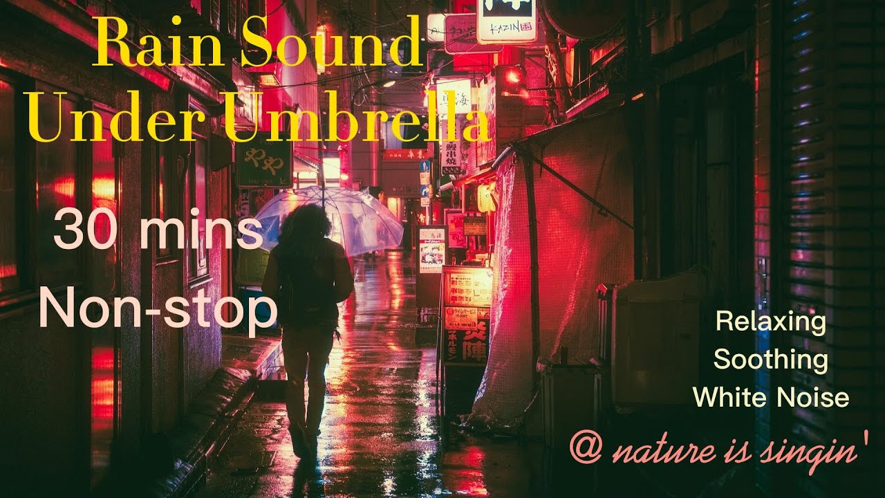 Rain Sound under Umbrella 30 mins - Stress Relief, Relaxing Sound ...