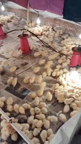 Farming real life - YouTube