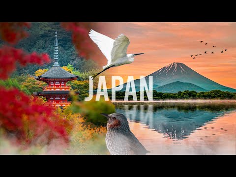 Japan in 3 Minutes | Cinematic Travel Video