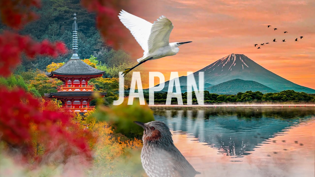 Japan in 3 Minutes | Cinematic Travel Video - YouTube