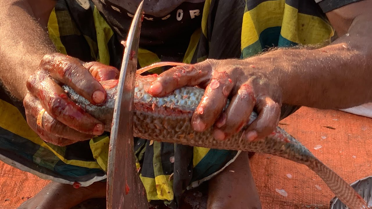 Amazing Fish cutting. Kaliakoir Fishmark. - YouTube