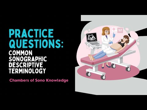 Common Sonographic Descriptive Terminology Practice Questions - YouTube