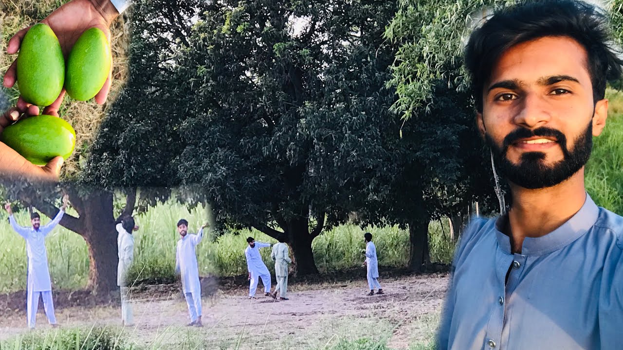 Mango 🥭 tora or. Kya ho gaya 🧐(Umair vlog) - YouTube