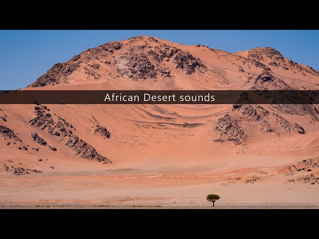 African Desert | Desert Sound Effects Library | Asoundeffect.com