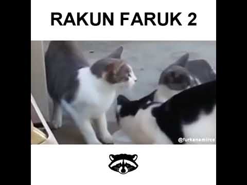 Furkan Emirce FARUK DUBLAJ #1