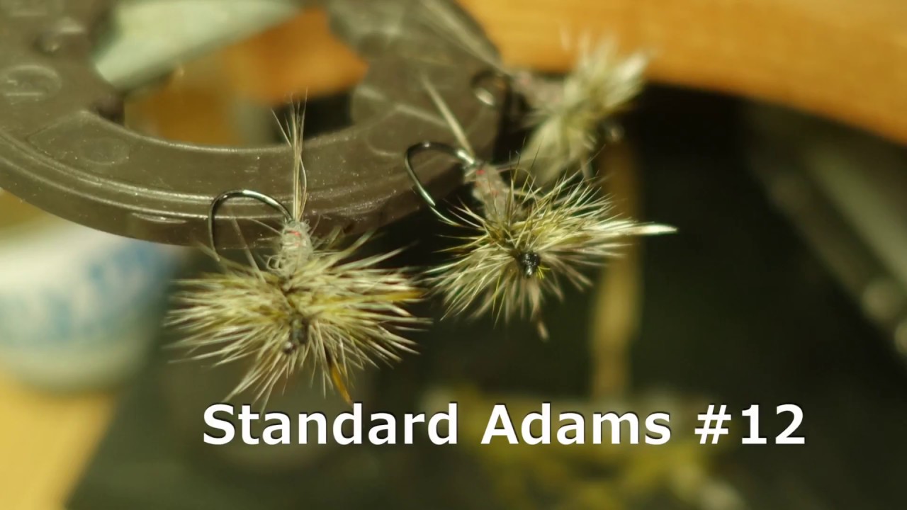 Standard Adams #12 - YouTube