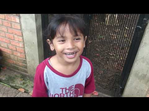 Main sama hewan ternak