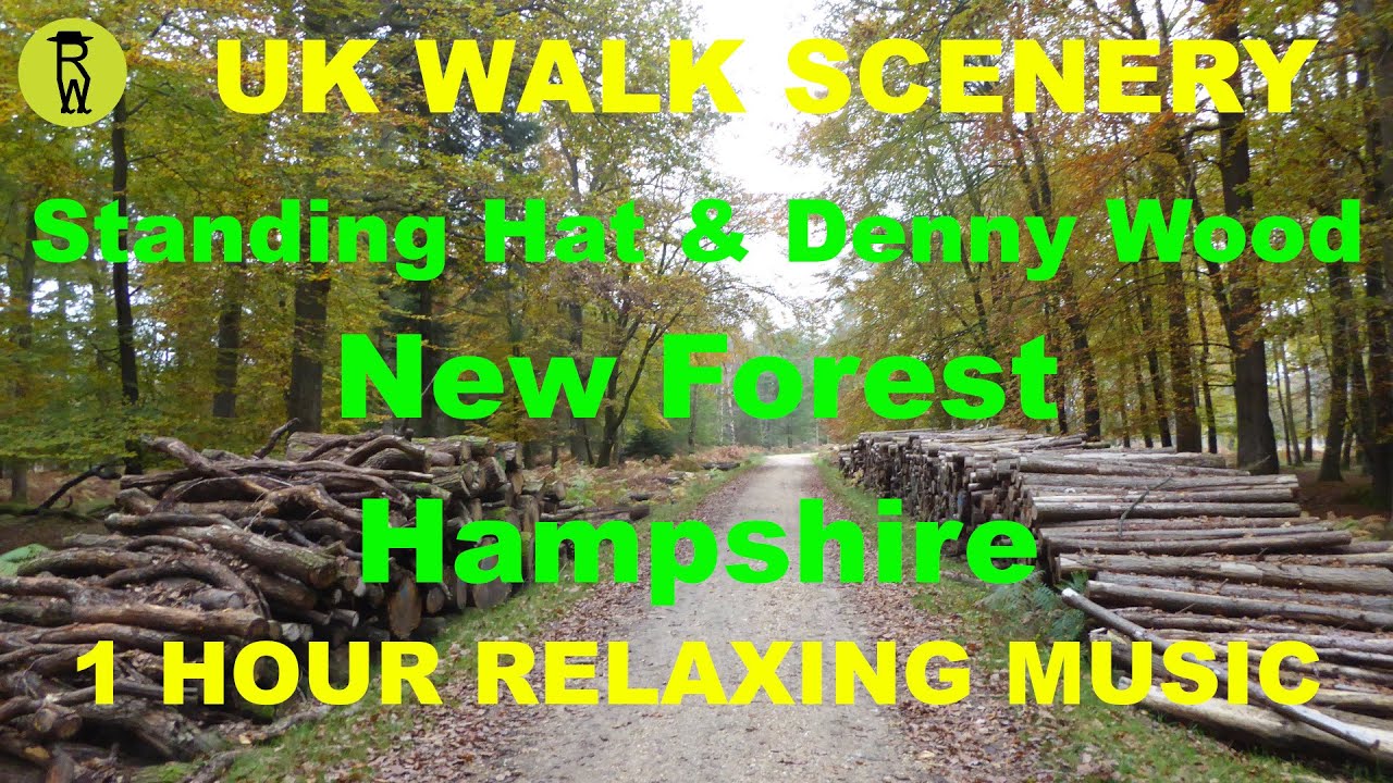 Standing Hat & Denny Wood, New Forest, Hampshire Walk Scenery, 1 Hour ...