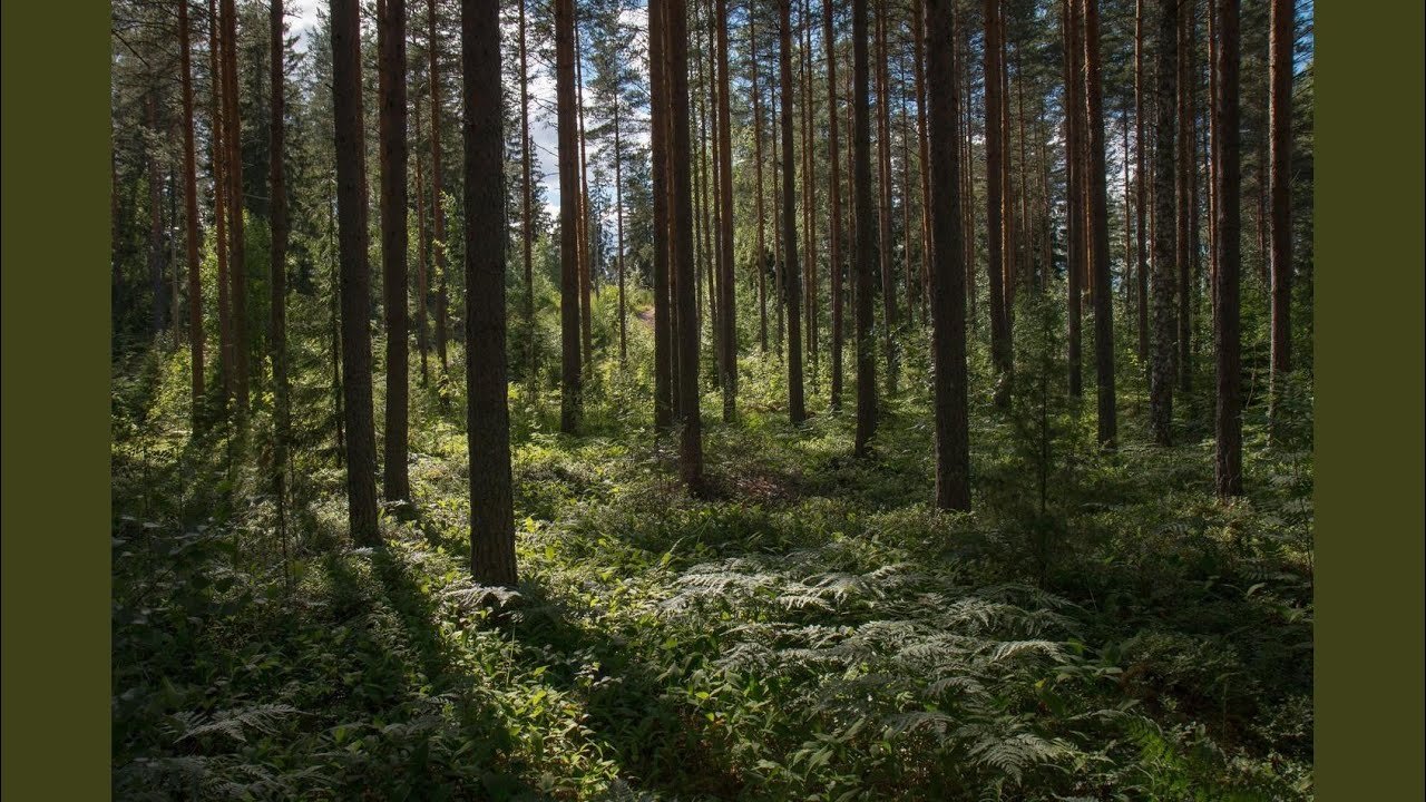 I See Land - YouTube