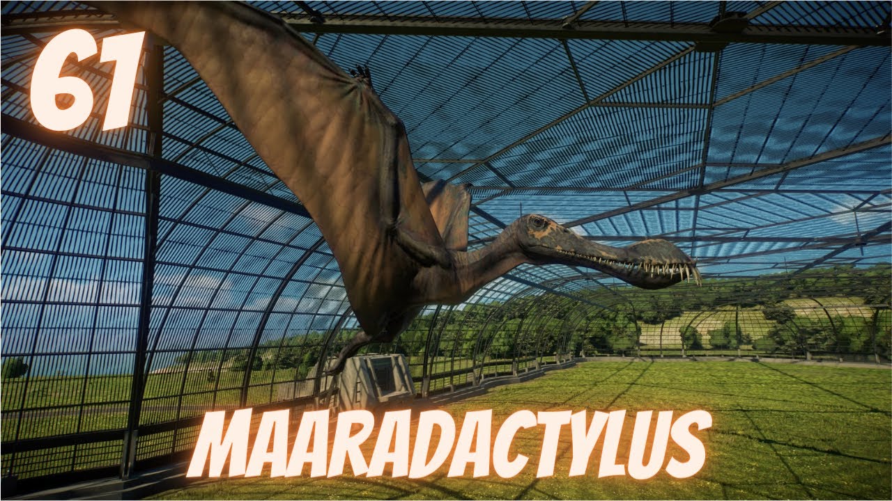 Random Dinosaur Facts in Under a Minute Ep 61: Maaradactylus - YouTube