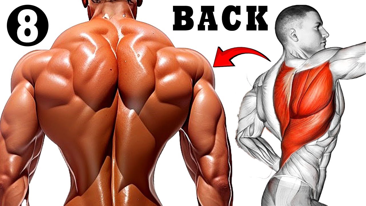 8 Fastest Exercises to Get Huge BACK AT GYM - YouTube