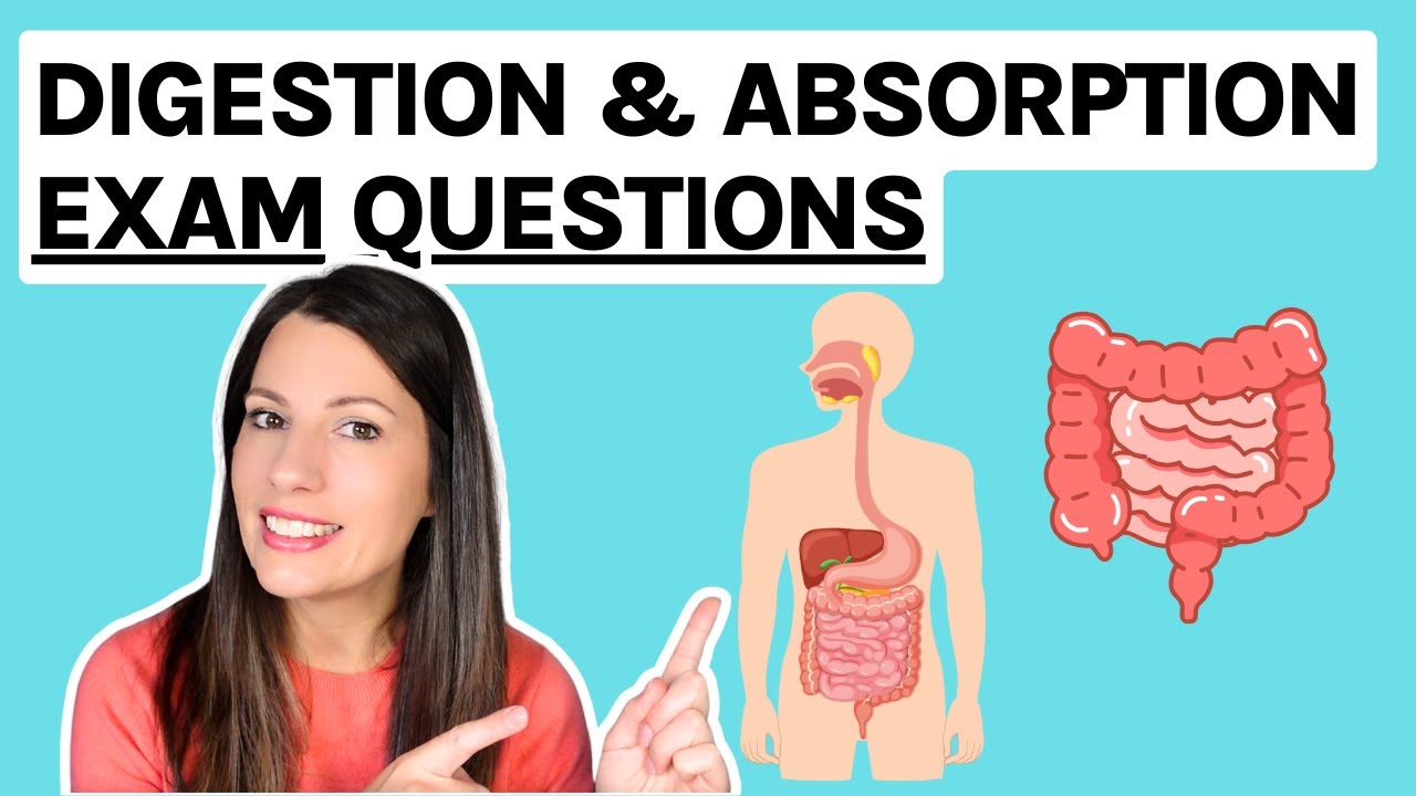 Digestion & Absorption Live Lesson | A-level Biology exam questions and ...