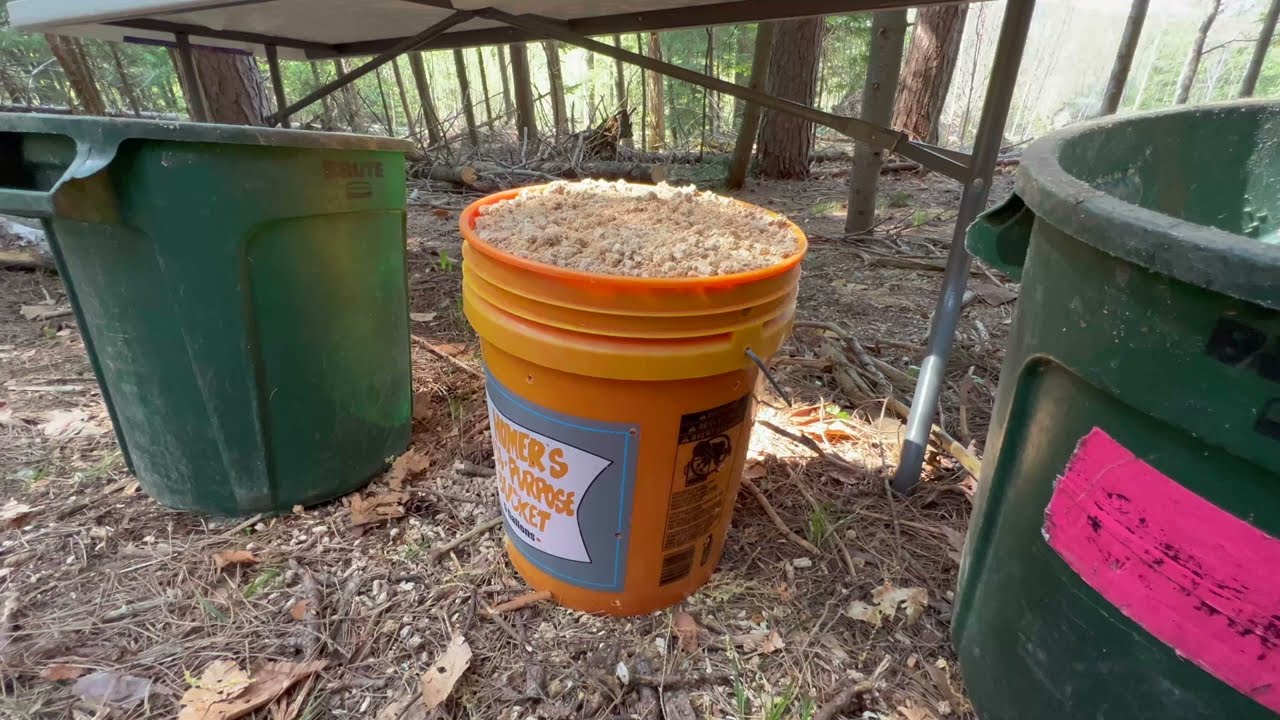 Growing Edible Mushrooms in Hardwood Pellets - YouTube