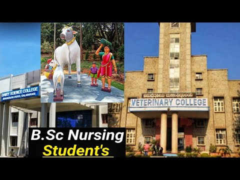 Veterinary College Campus ll Dairy Science College l Bangalore - YouTube