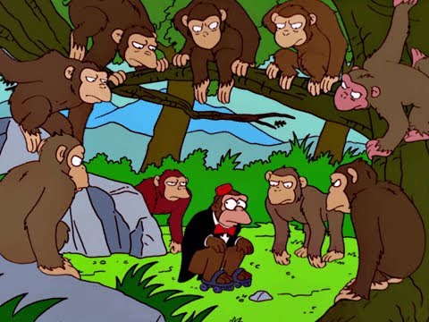 Monkey Voting 24 - YouTube