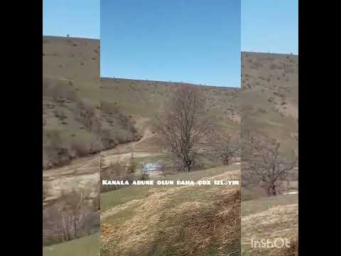 Köhne derdim tezelendi Sevil Gedebeyli Gədəbəy #gədəbəy #maraqlı #sevilgedebeyli