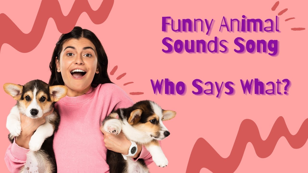 ‘Funny Animal Sounds Song Who Says What’, - YouTube