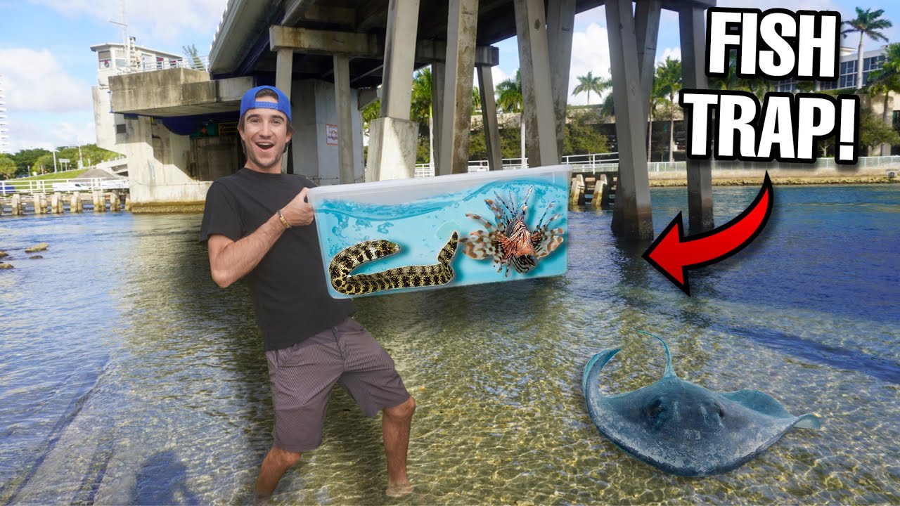 FISH TRAP Catches EXOTIC LIONFISH For My Aquarium!! *insane* - YouTube