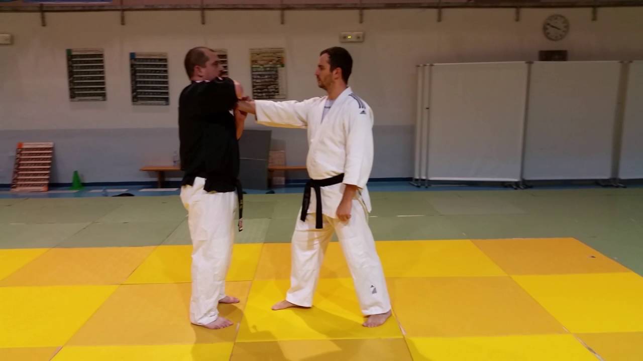 4a tecnica Kata Hontay Yoshin Ryu, Gyaku no Kata - YouTube