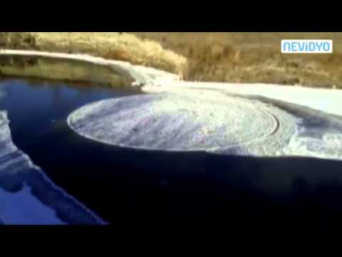 Görenler şok geçirdi!