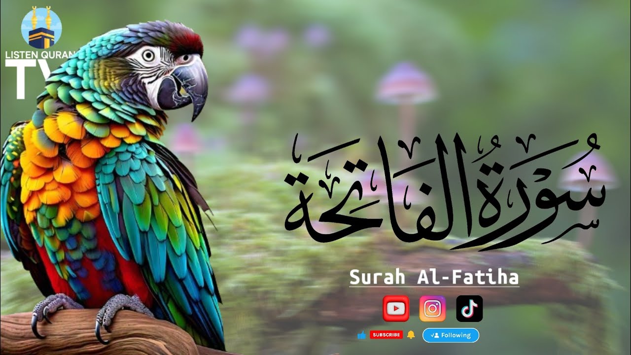 SURAH AL-FAITHA | QURAN | Beautiful Relaxing Voice | LISTEN QURAN TV ...