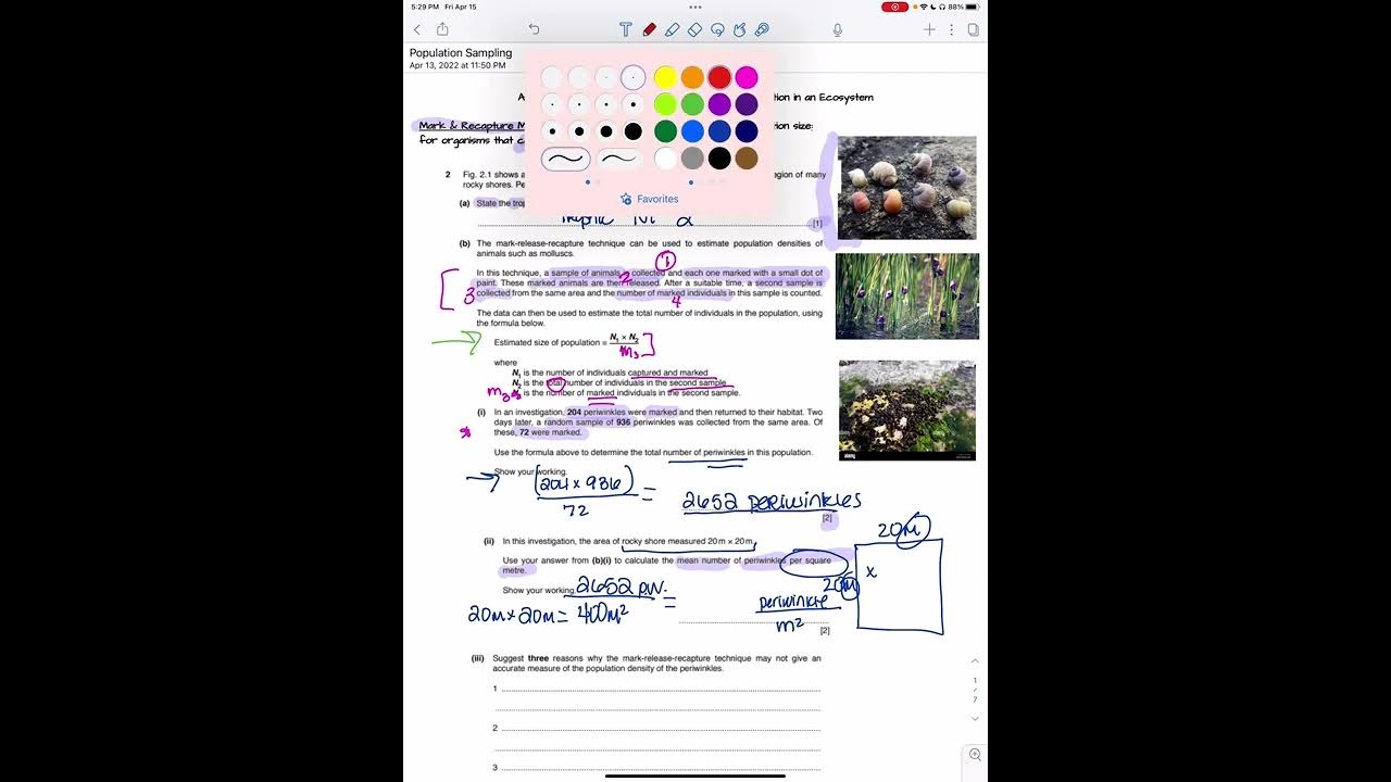 AICE Marine Science AS: 4.4 Mark & Recapture Exam Questions - YouTube