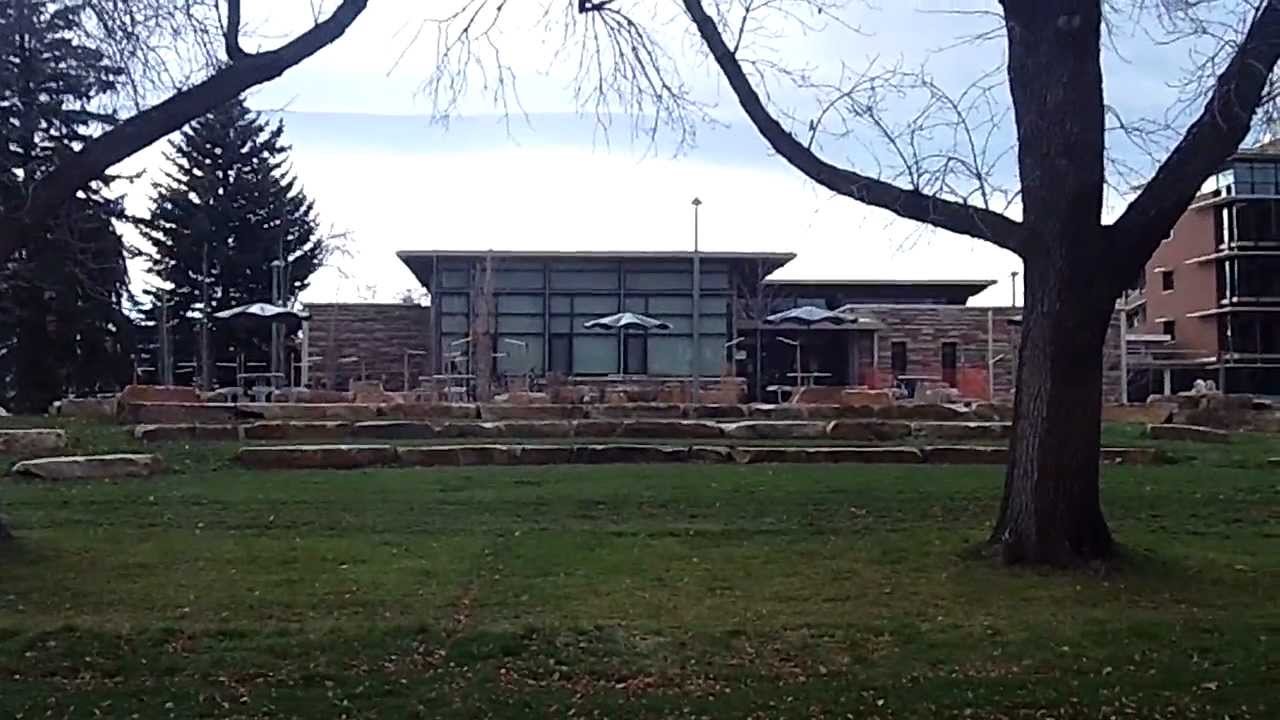 MyCSU: Walking past Braiden Hall - YouTube