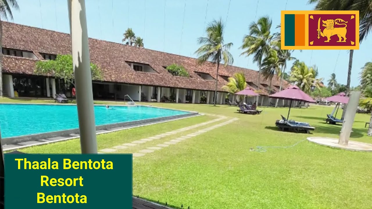 Sunday Lunch Buffet at Thaala Bentota Resort Hotel, Bentota Sri Lanka ...