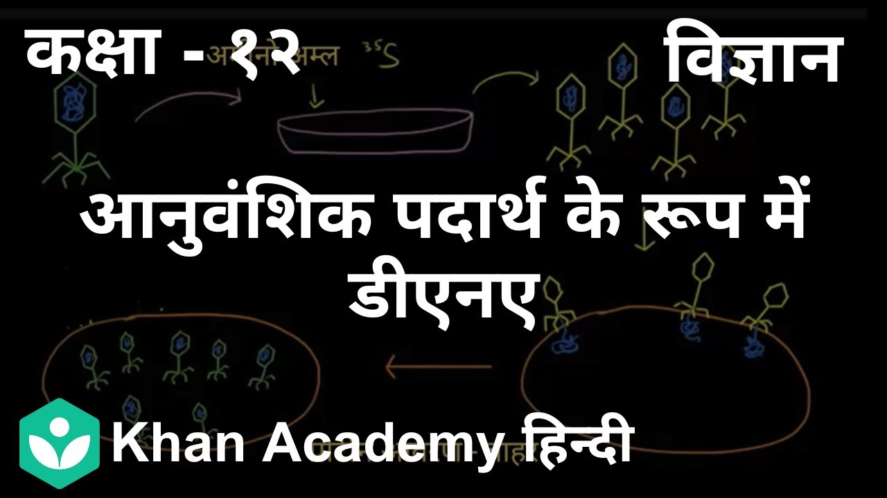DNA as the genetic material [Hindi] | Molecular basis of inheritance ...