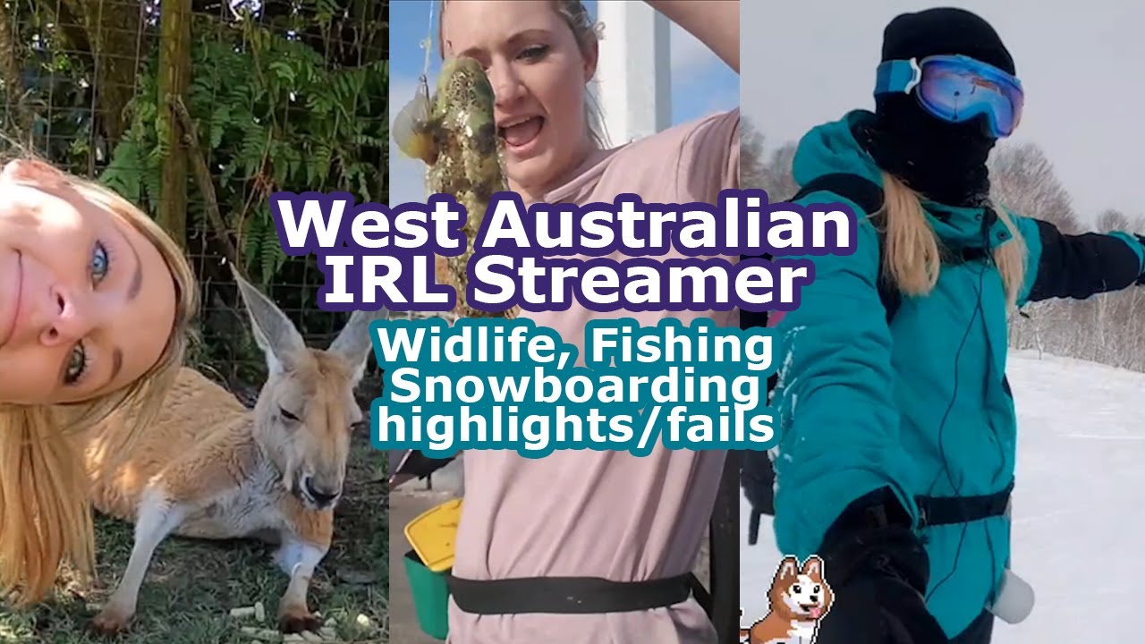 Australian IRL Twitch Streamer Recent Highlights - YouTube