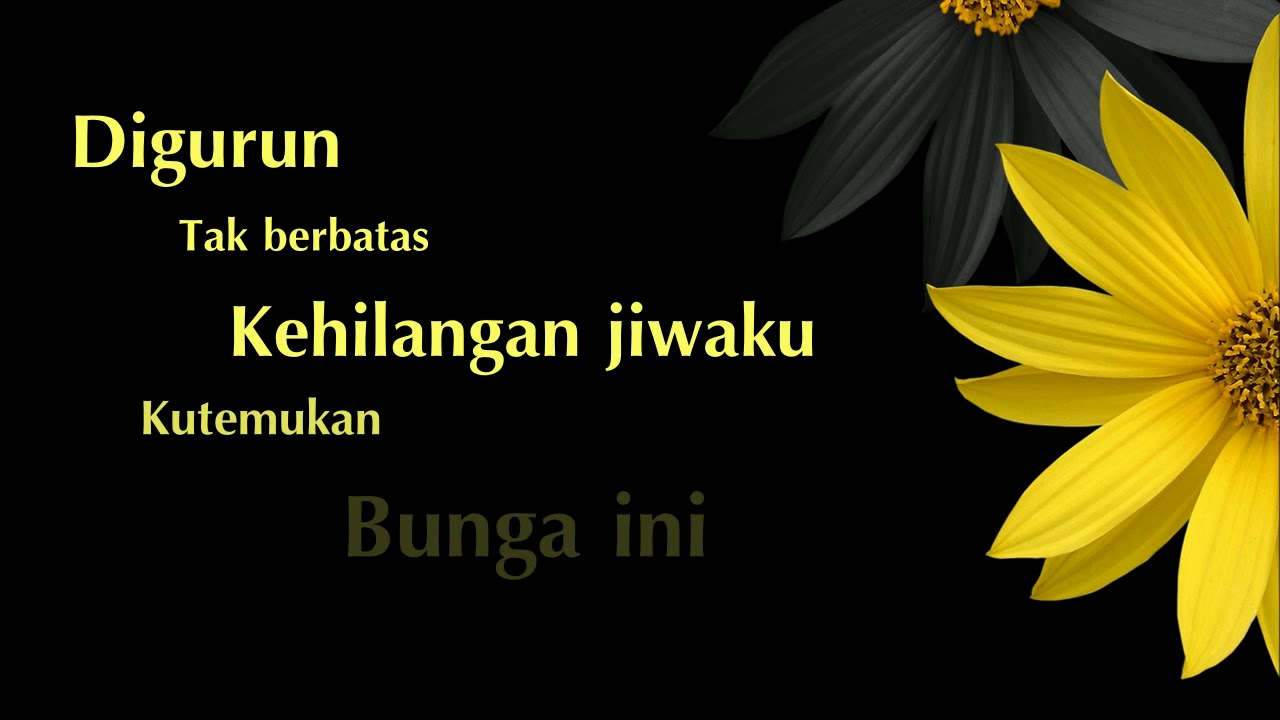 Bunga - Ara Johari Lirik - YouTube