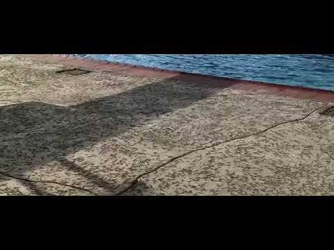 Final Destination 4 Swimming Pool Scene -Death Scene - YouTube