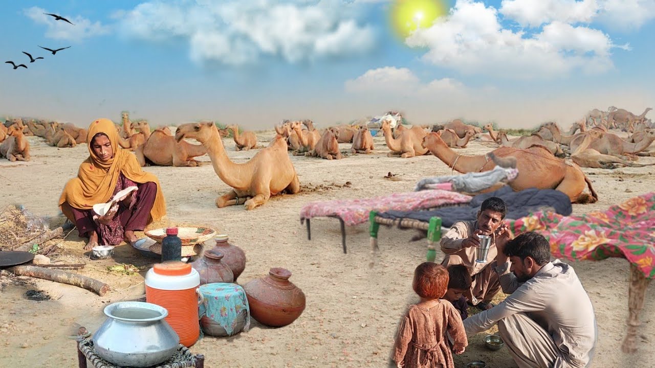 desert Village Life Pakistan | Village Women Morning Routine in Fog ...